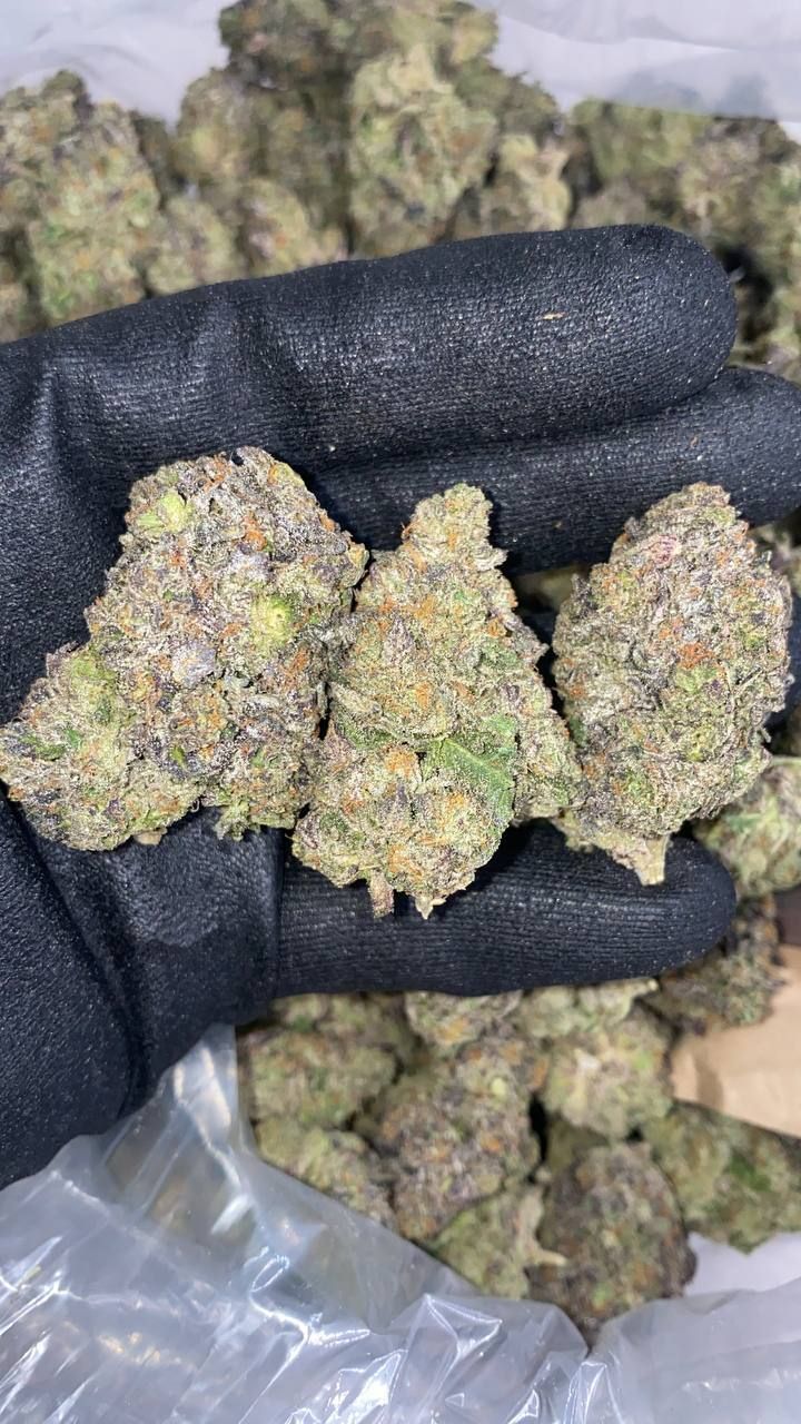 Death Bubba strain - Mega Cannabis Shop