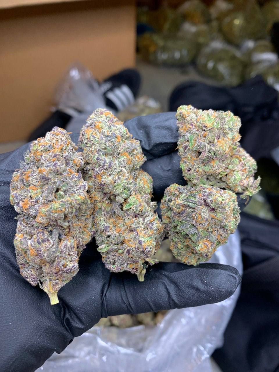 Ice Cream Cake Strain - Mega Cannabis Shop